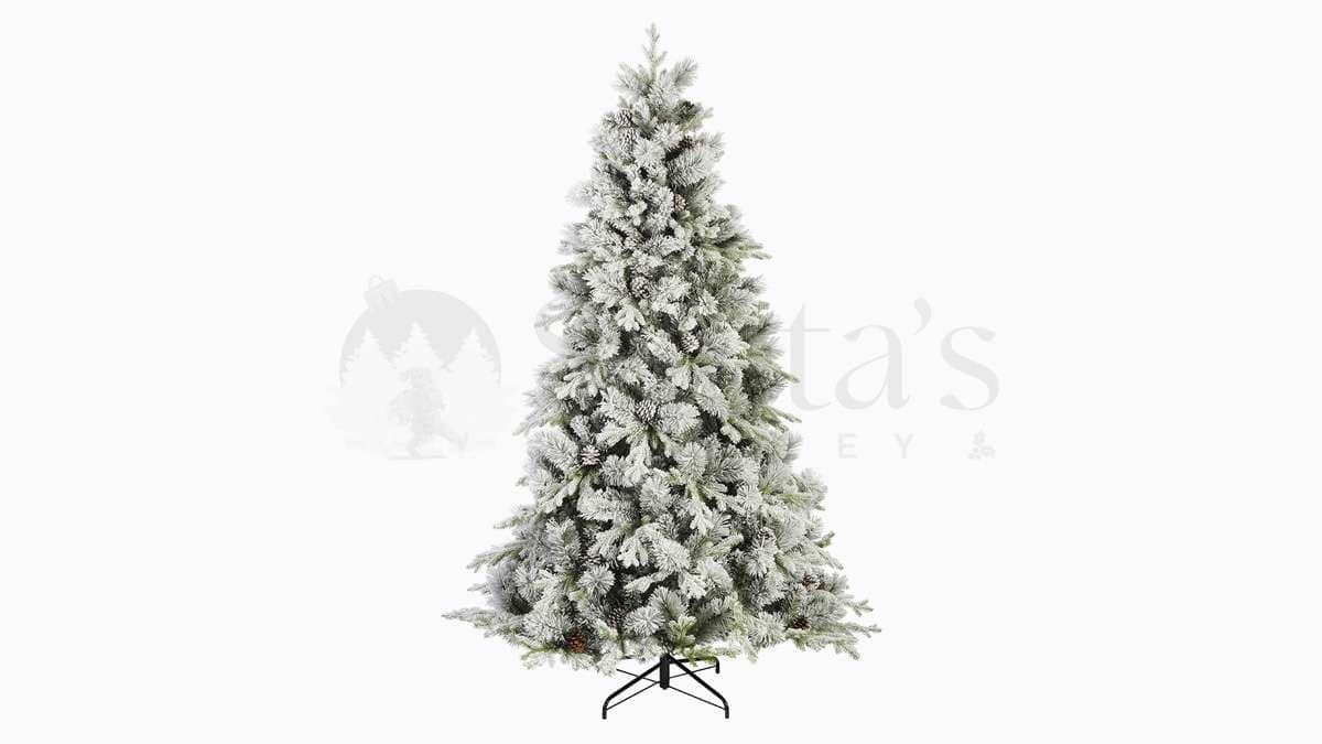 What are the different types of Christmas trees? | Santa's Valley